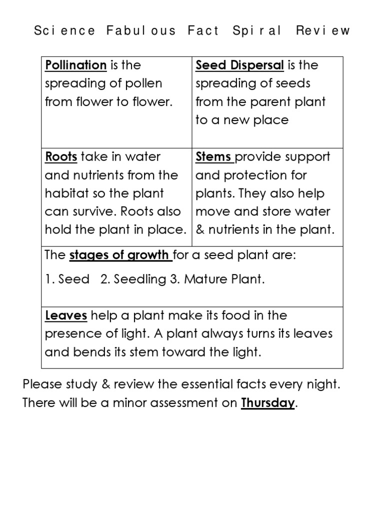 Science Plants 32 37 | PDF