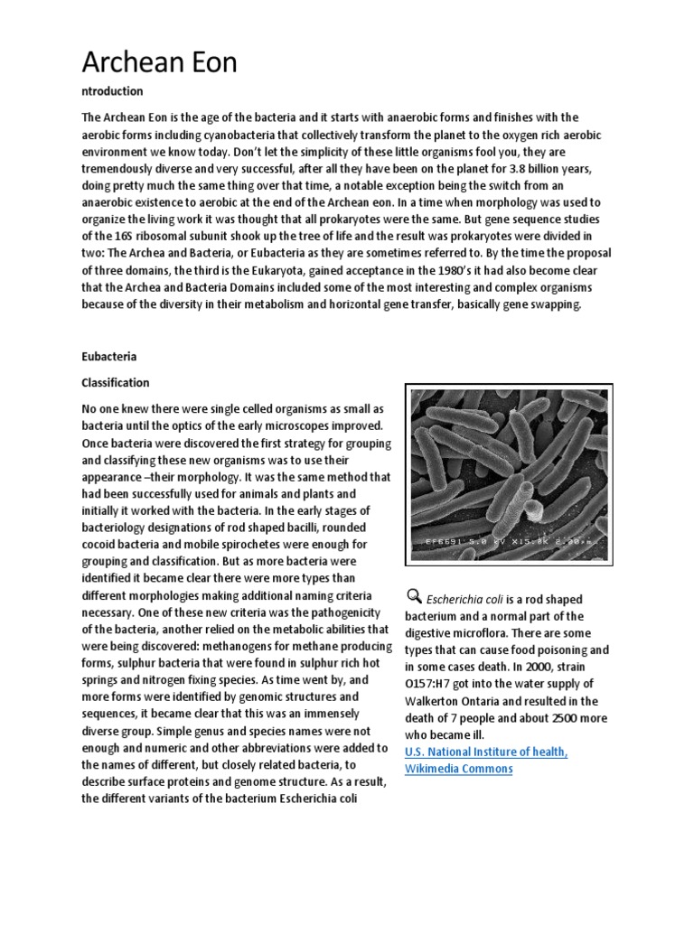 Archean Eon | Plasmid | Bacteria