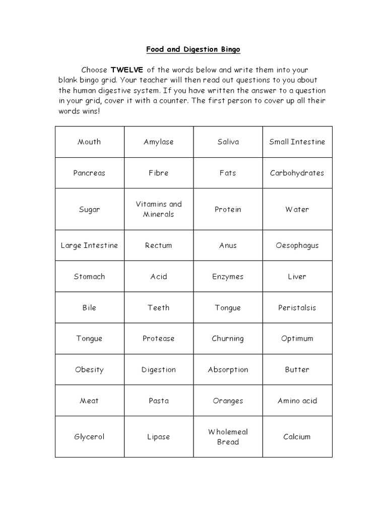 Food and Digestion Bingo Game | PDF | Digestion | Human Digestive System