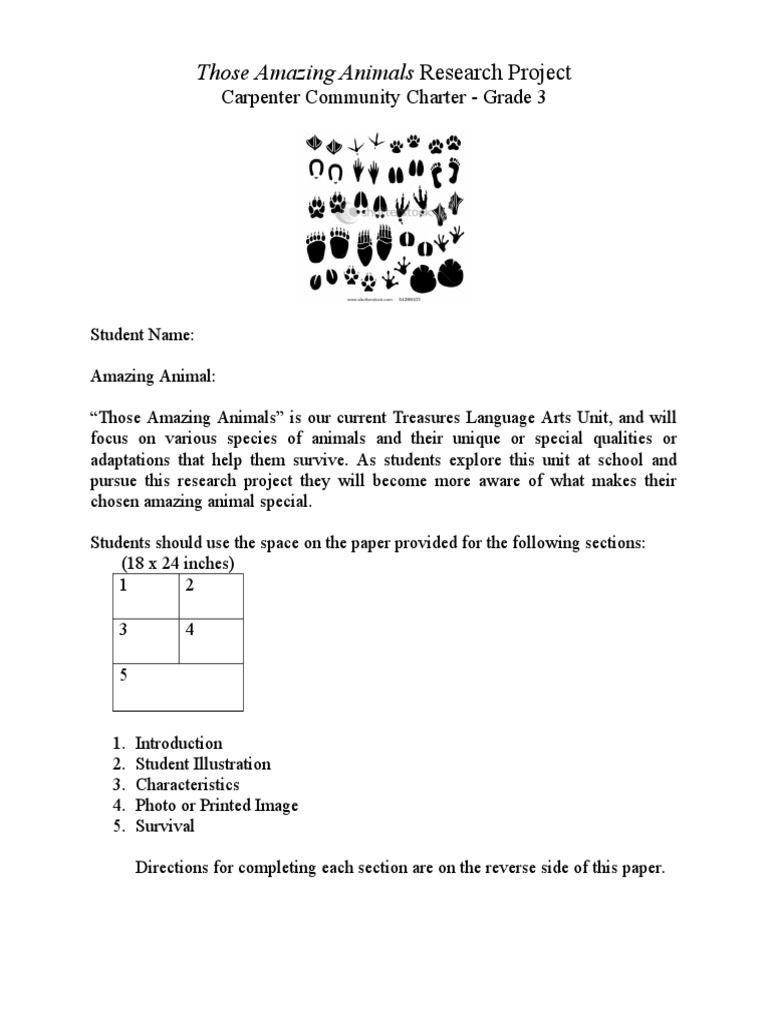 Unit 5 Amazing Animals Project | PDF
