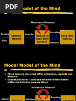 Drooling Severity and Frequency Scale (DSFS) | PDF