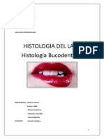Anatomía de los Labios y Región Perioral | PDF | Cara | Cabeza y cuello ...