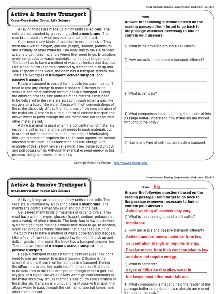 Gr5 Wk5 Active Passive Transport | PDF | Osmosis | Biology