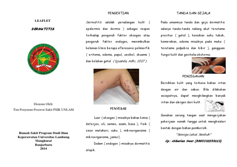 Leaflet Dermatitis | PDF