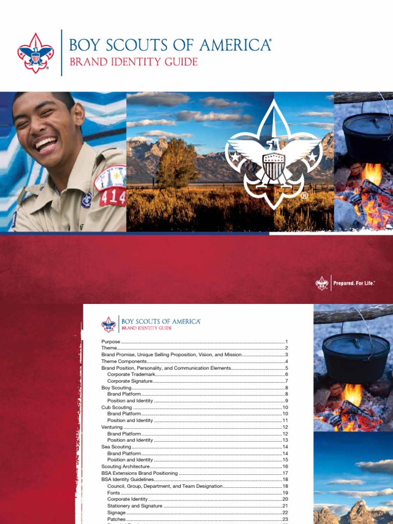 BSA Brand Identity | PDF | Career & Growth