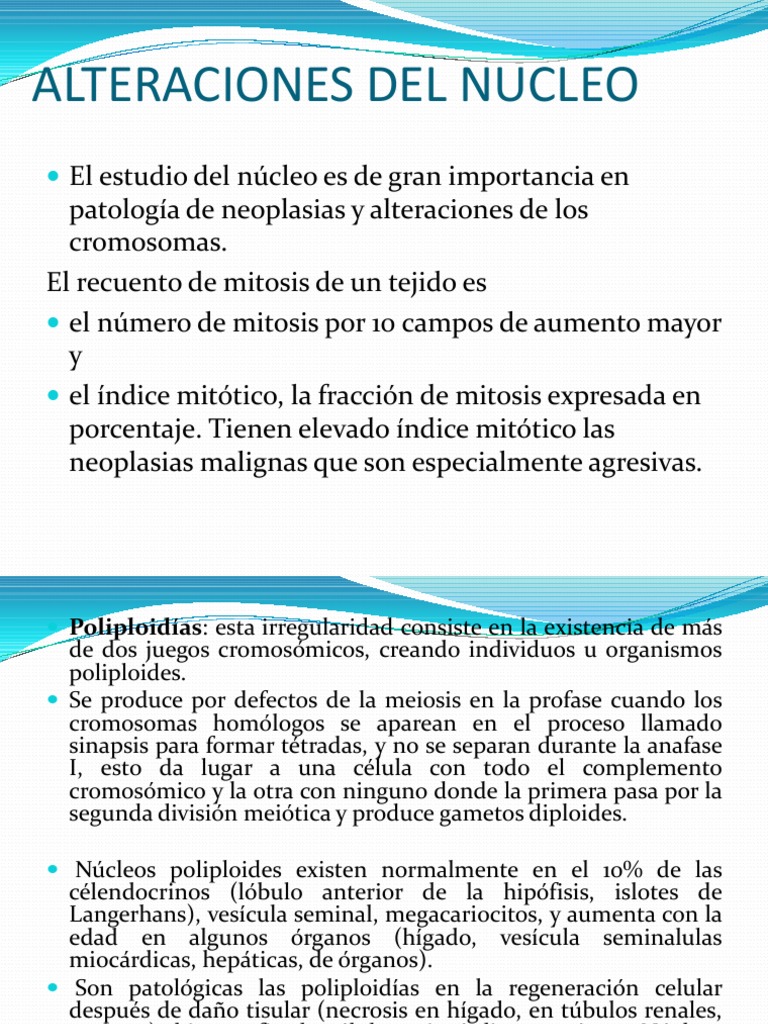 Alteraciones Del Nucleo | PDF | Cromosoma | Nucleo celular
