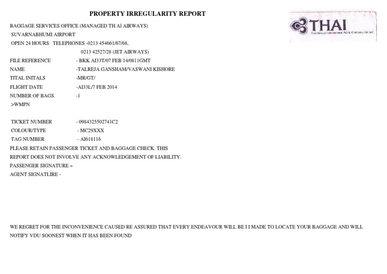 Property Irregularity Report | PDF