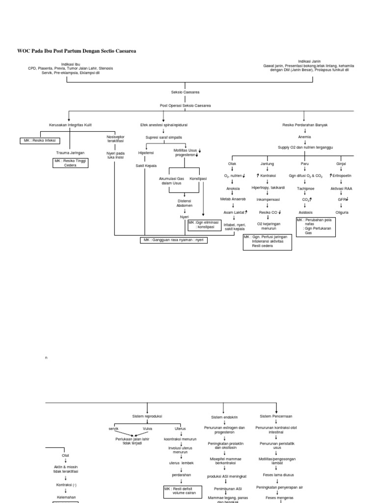 Woc Sectio Caesarea 2 | PDF | Kesehatan Holistik