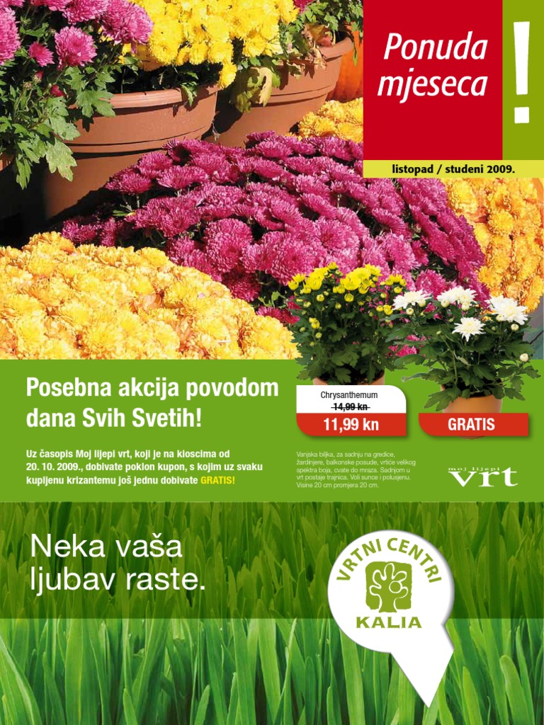 Kalia K 2009-10 | PDF