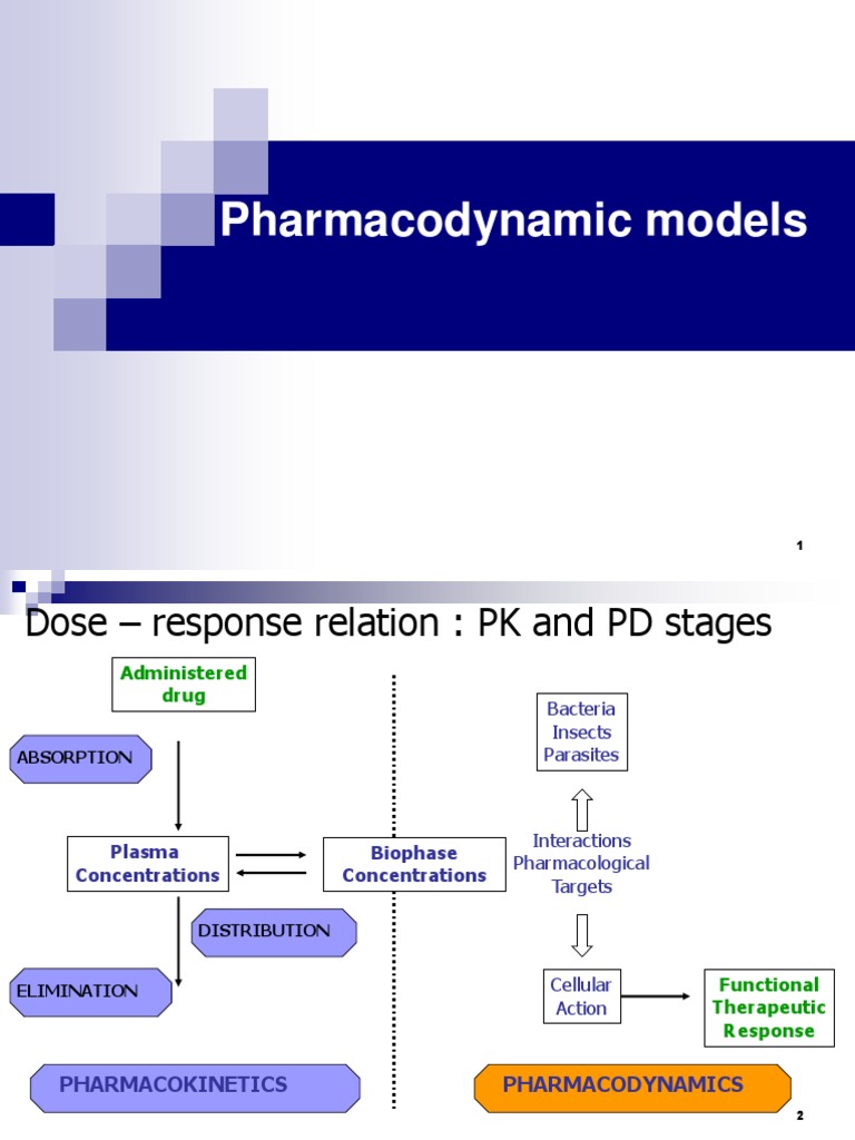 Pharmacodynamic Models Final Bis | PDF | Pharmacokinetics | Dose ...