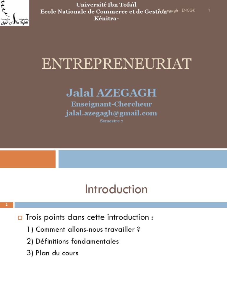 Cours d'Entrepreneuriat: Concepts et Processus | PDF | Capital ...