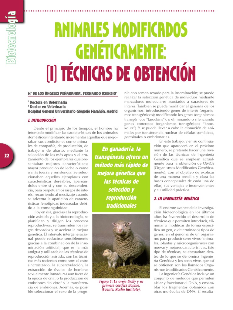 Técnicas de Obtencion | PDF | Clonación | Ingeniería genética