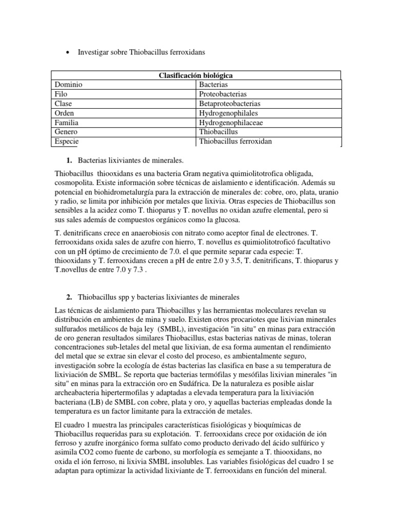 Thiobacillus Ferroxidans | PDF | Las bacterias | Minerales