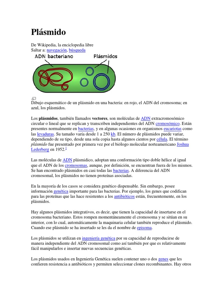 Plásmido | Plasmid | Dna