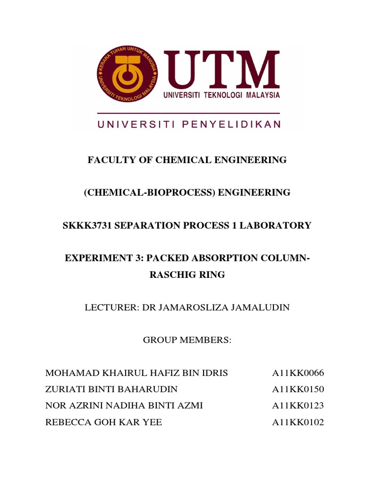 Packed Absorption Column - Raschig Ring | PDF | Absorption (Chemistry) | Phase (Matter)