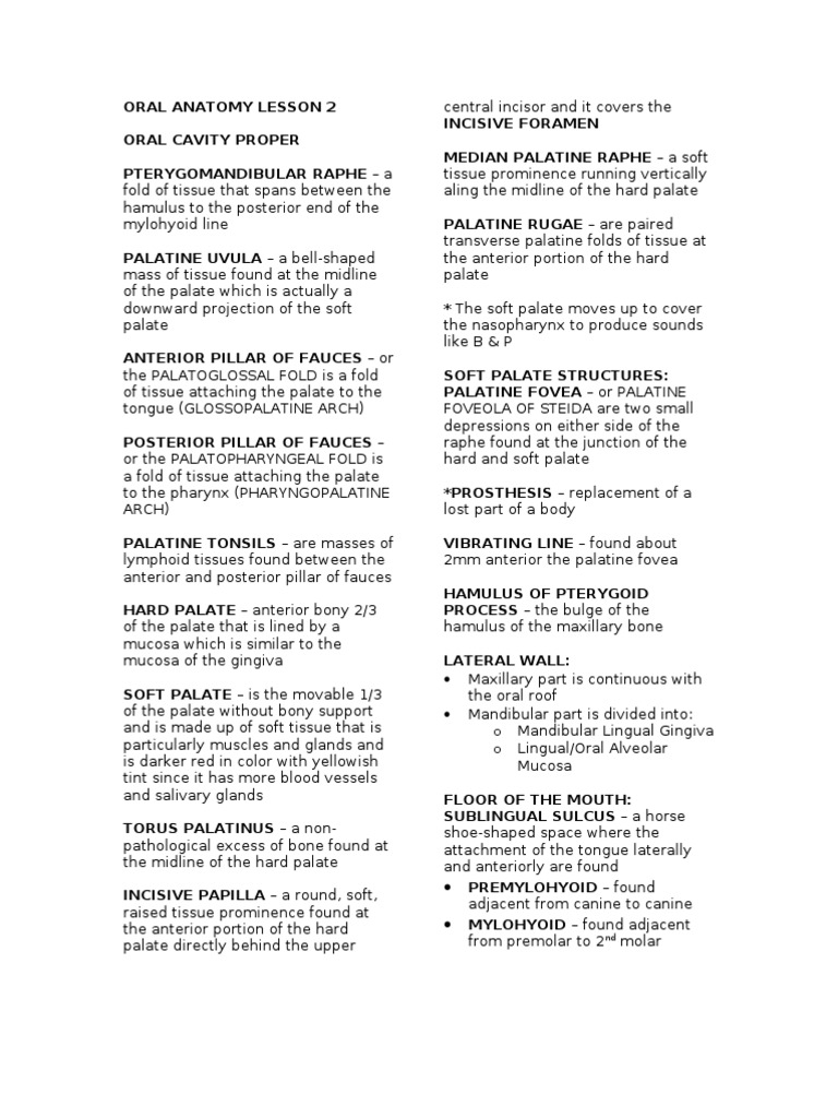 Oral Anatomy Lesson 2 | PDF | Tongue | Face