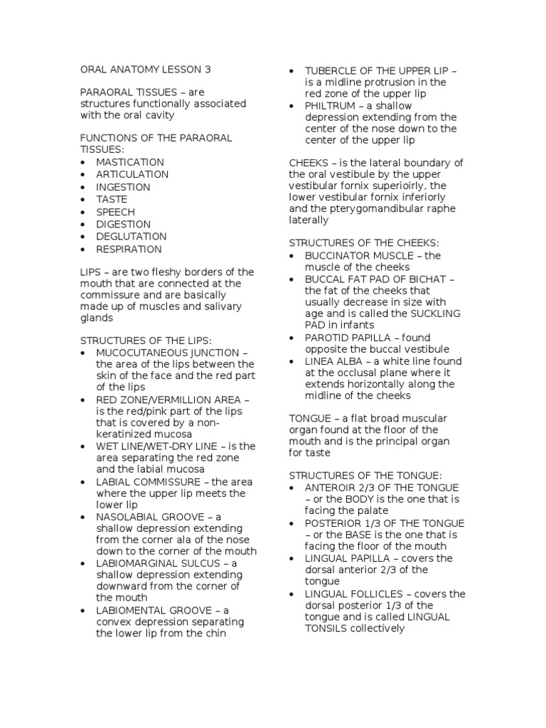 Oral Anatomy Lesson 3 | PDF | Tongue | Lip