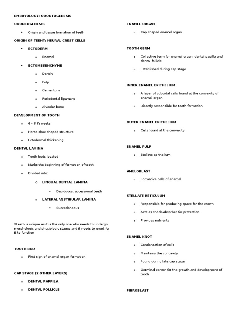 Embryology: Odontogenesis Odontogenesis - Origin and Tissue Formation ...