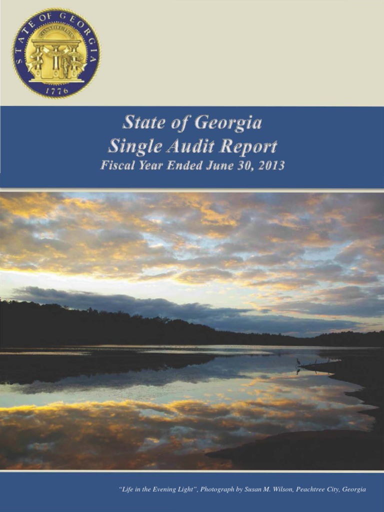 State of Georgia Single Audit Report 2013 | PDF | Financial Audit | Audit