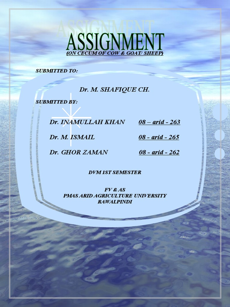 Cecum in Different Animals | PDF | Large Intestine | Anatomy