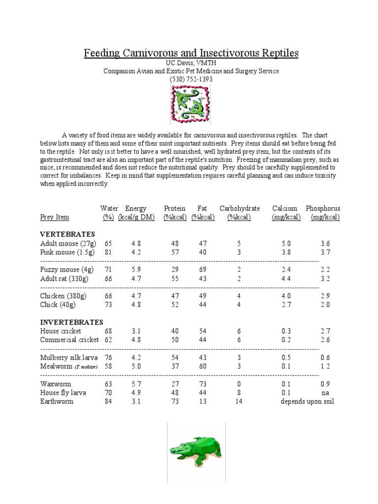 Insectivorous Animal Nutrition Chart | PDF