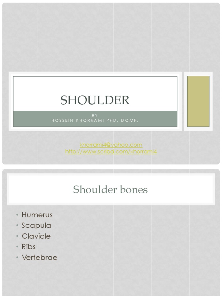 Shoulder | PDF | Shoulder | Anatomical Terms Of Motion