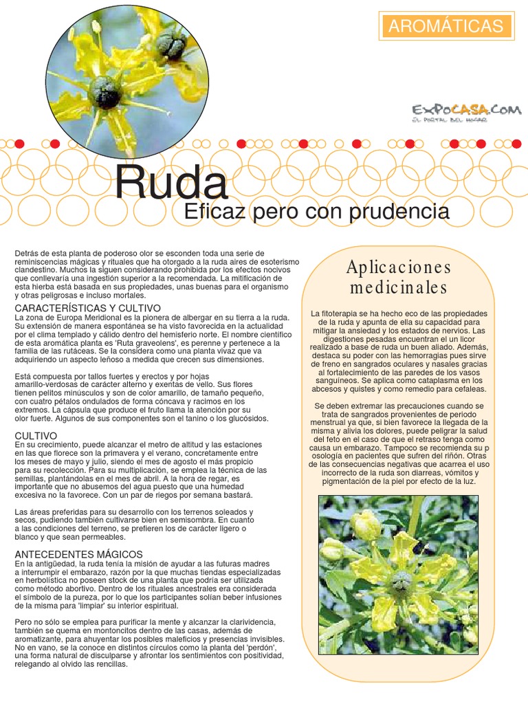 Ruda | PDF