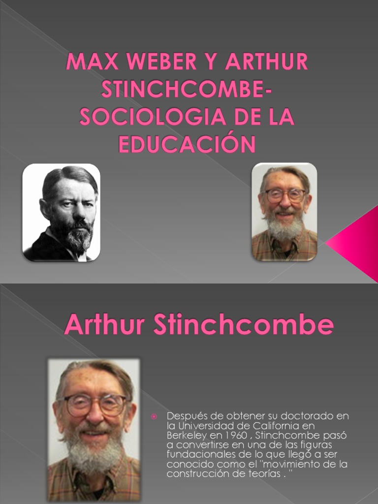 Max Weber y Arthur Stinchcombe - Sociologia de La | PDF