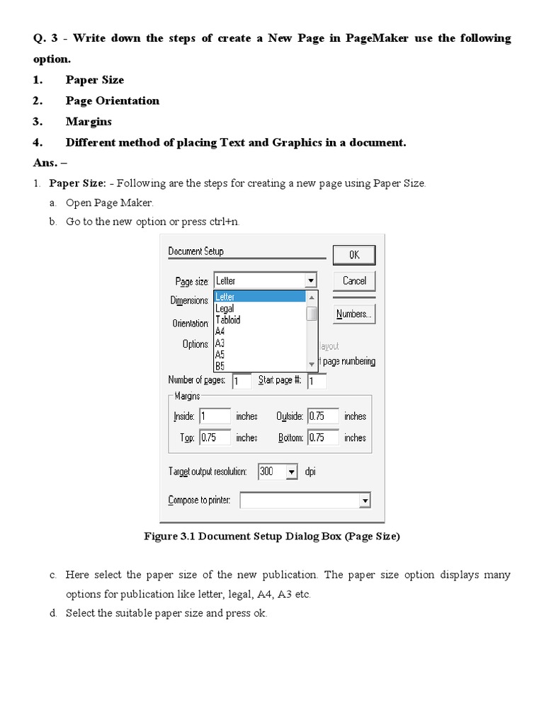 Write Down The Steps of Create A New Page in Page Maker Use The ...