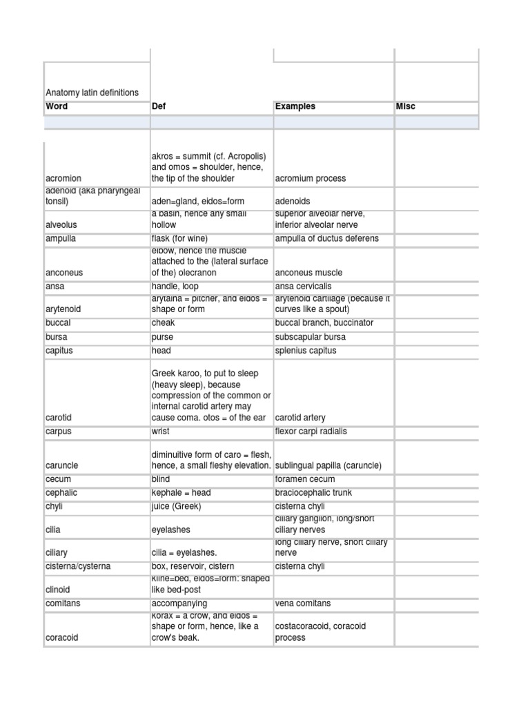 latin-anatomy-terms-pdf-common-carotid-artery-stomach