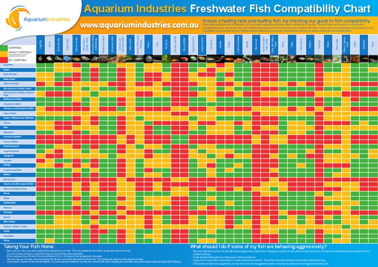 Freshwater Fish Compatibility Chart | PDF | Fish | Hobbies