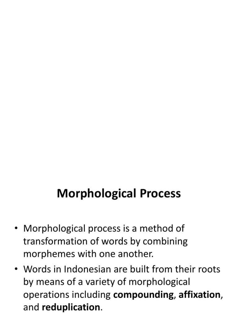 Presentation1 Morphology | PDF | Morphology (Linguistics) | Indonesian ...