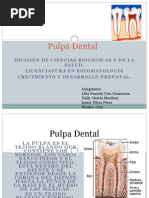 Anatomía de la Región Geniana | PDF | Cabeza y cuello humanos ...