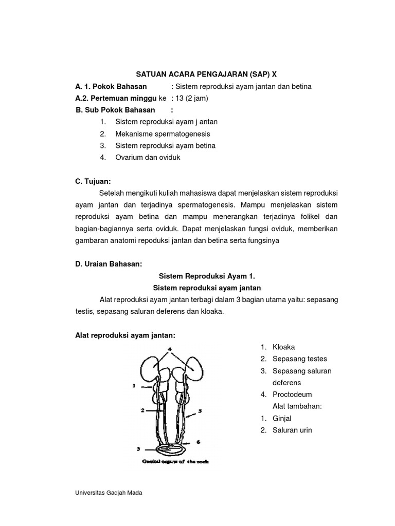 Sistem Reproduksi Ayam | PDF