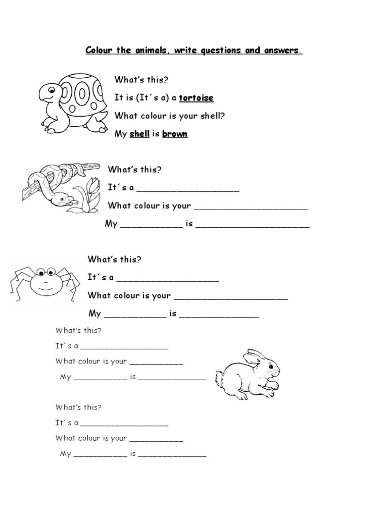 Animal Colouring and Q&A Activity | PDF | Home & Garden | Self-Improvement