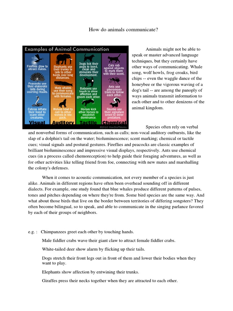 How Animals Communicate: Methods Explained | PDF | Language Arts ...