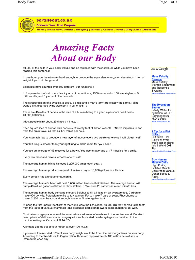 Fascinating Human Body Facts | PDF | Heart | Skin