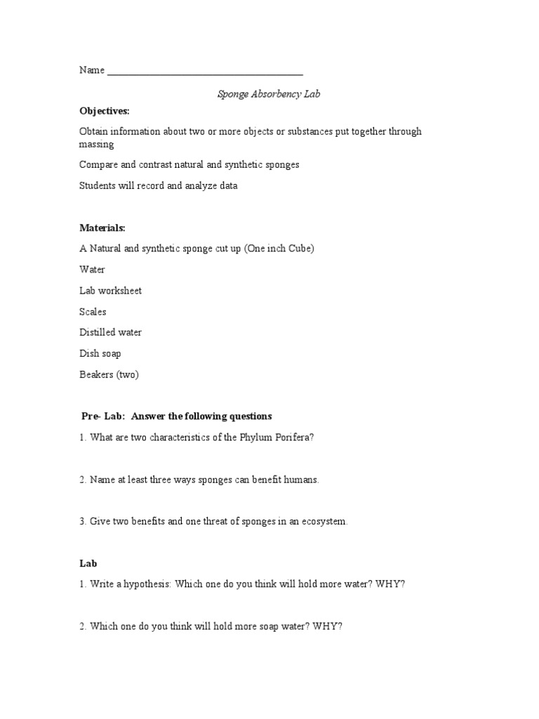Sponge Absorbency Lab | PDF | Sponge | Mass