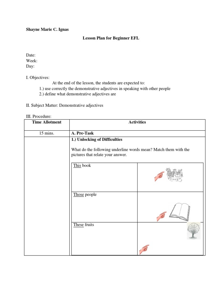 Lesson Plan For Beginner EFL | PDF | Lesson Plan | Cognition