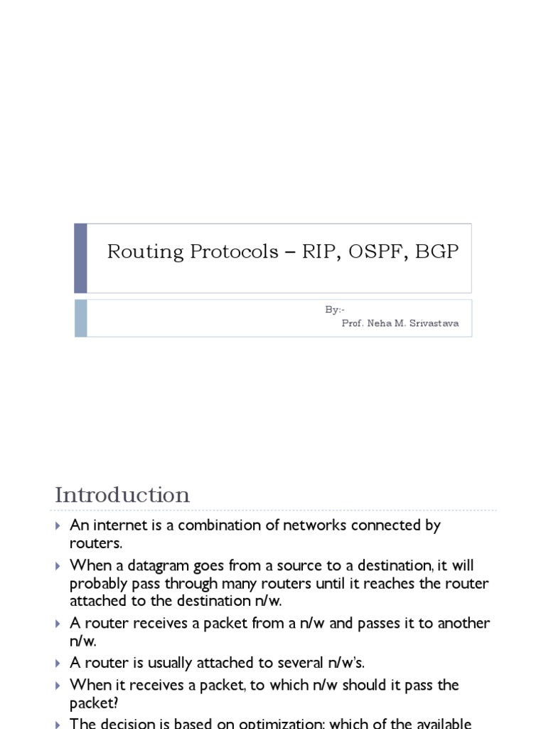 Routing Protocols - RIP OSPF BGP | PDF | Routing | Router (Computing)