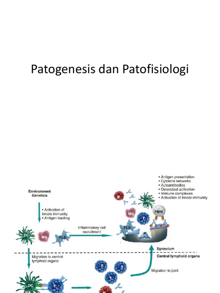 Patogenesis Dan Patofisiologi RA | PDF