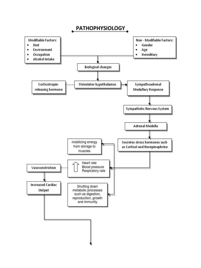 Cvd Infarct-hpnii