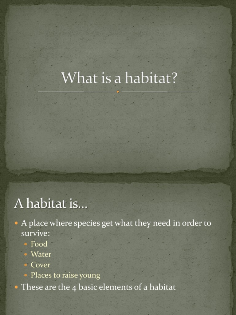 Understanding Different Habitats | PDF