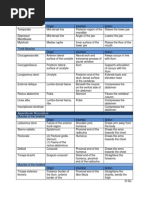 Muscle OIA | PDF | Vertebral Column | Vertebra