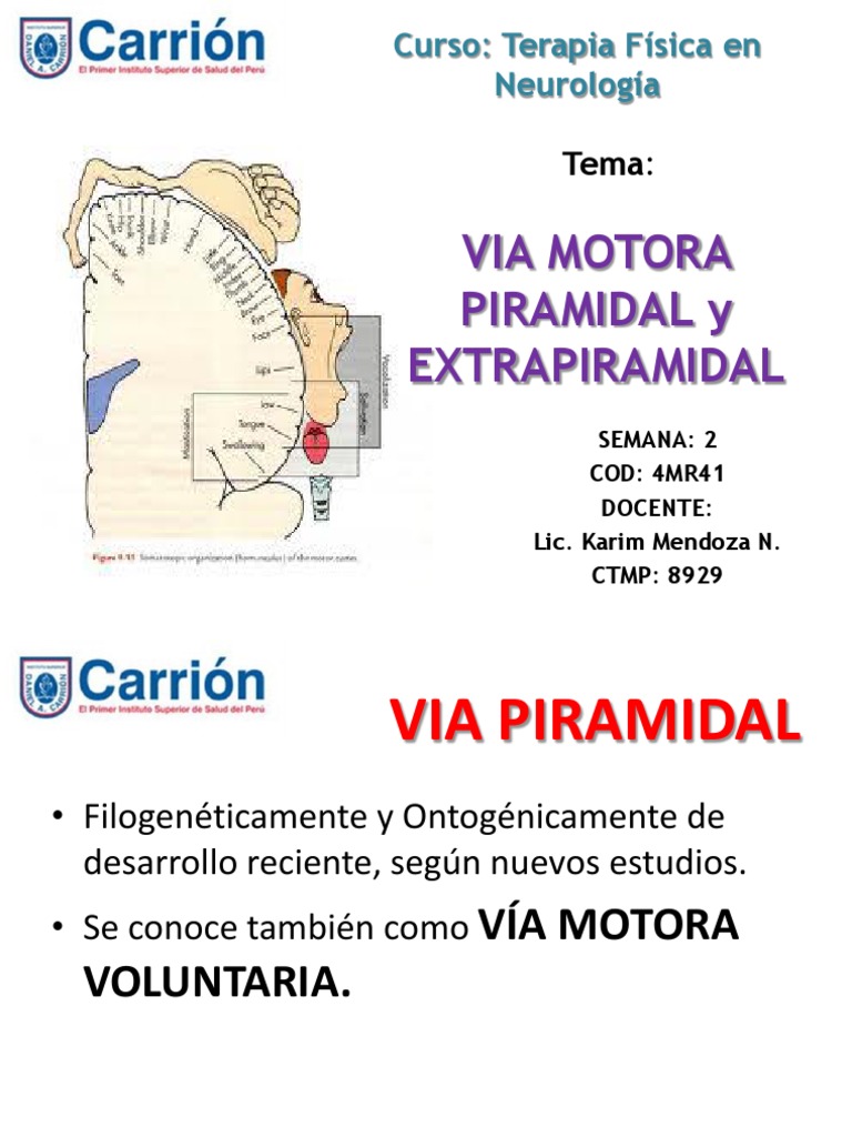 LESIONES DE LA VIA PIRAMIDAL Y EXTRAPIRAMIDAL PDF