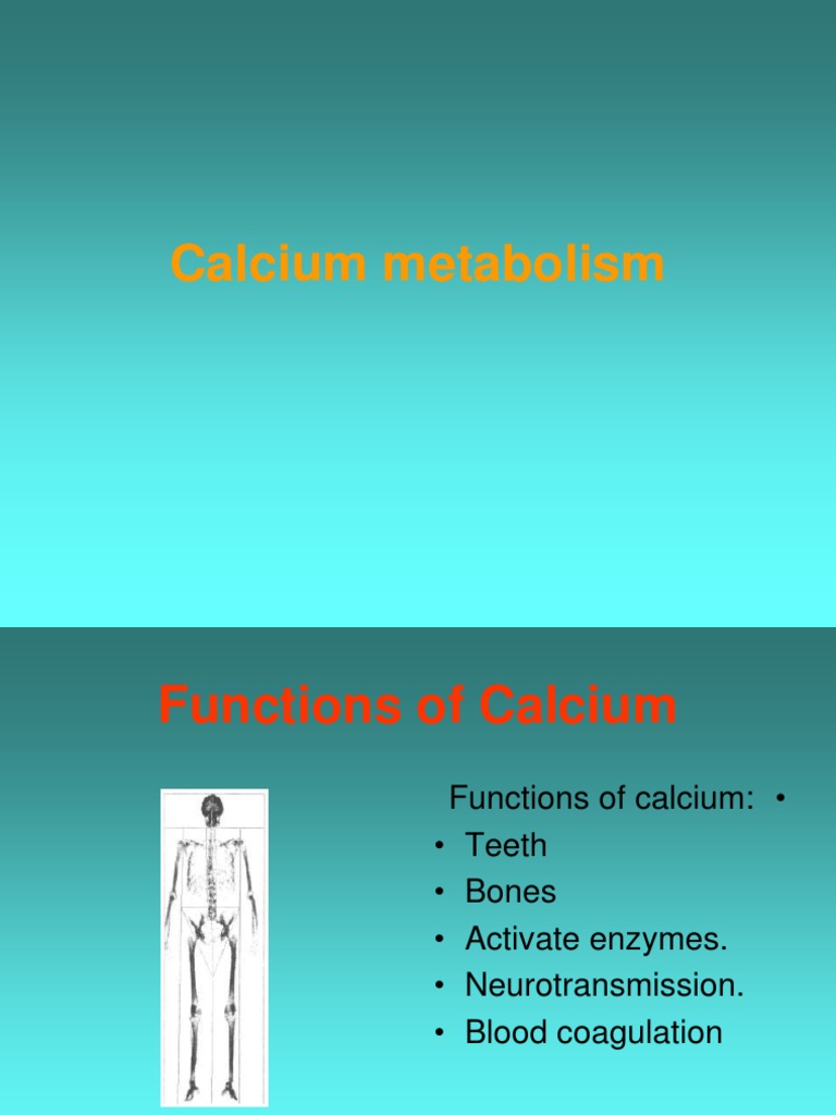 Calcium Metabolism: Functions & Regulation | PDF | Vitamin D | Calcium ...