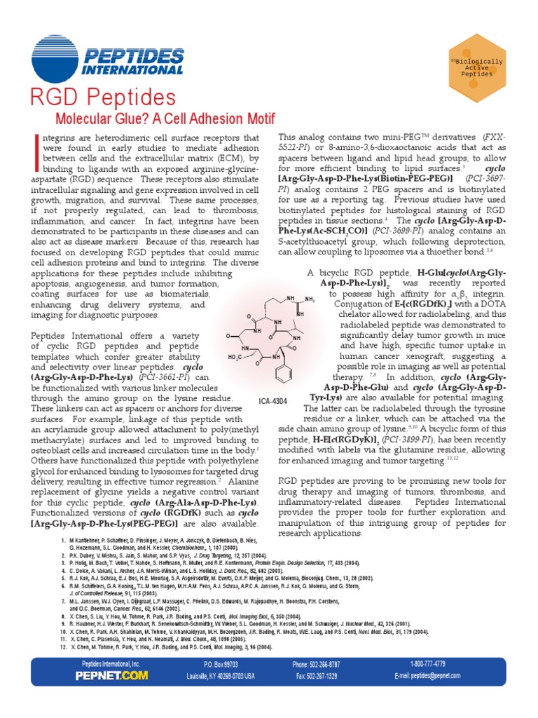 RGD Peptides Product Brochure | PDF | Integrin | Cell Adhesion