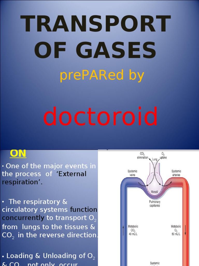 Transport of Gases | Blood | Respiratory System