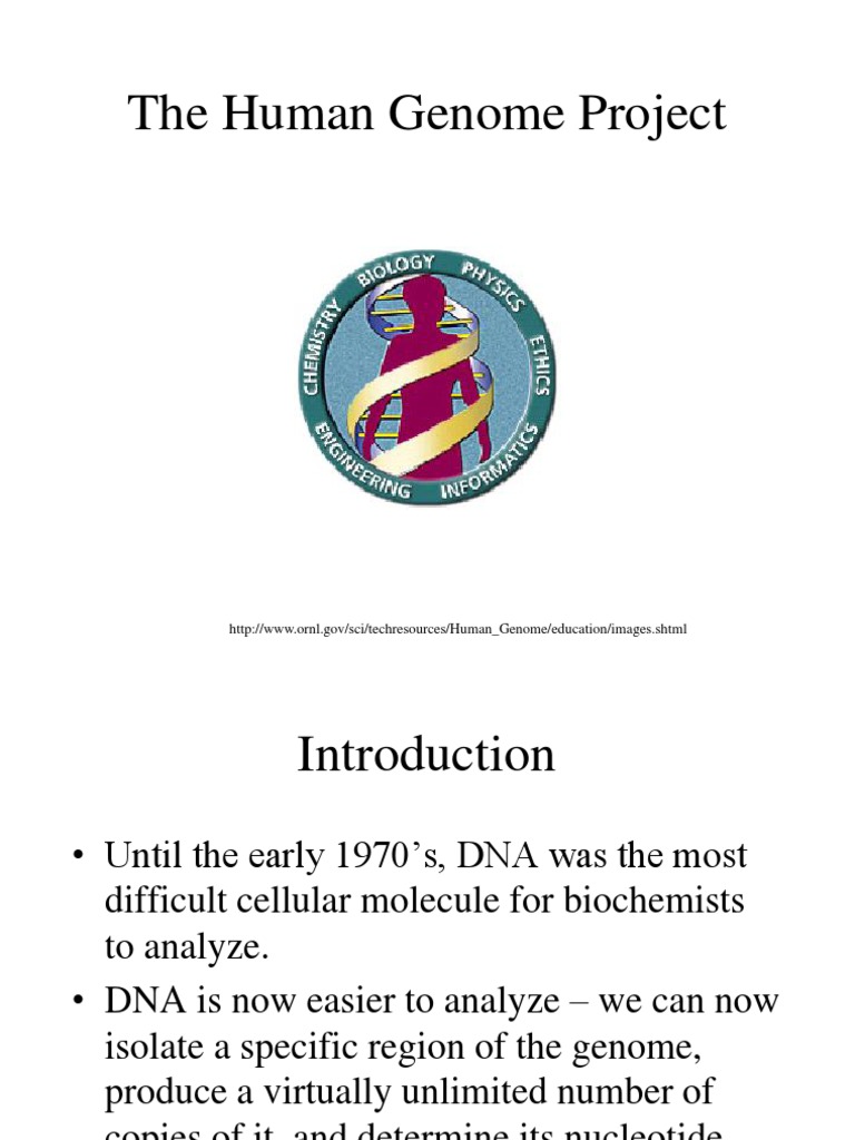 Human Genome Project | PDF | Dna Sequencing | Human Genome