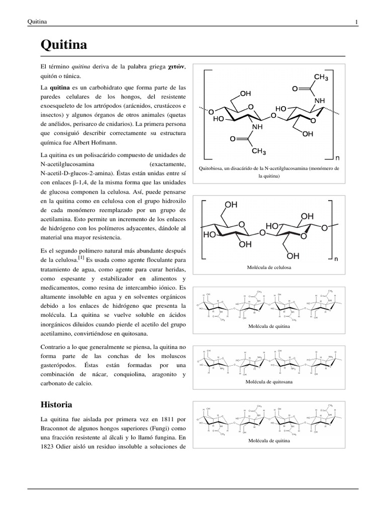 Quitina: Estructura y Aplicaciones | PDF | Polímeros orgánicos ...